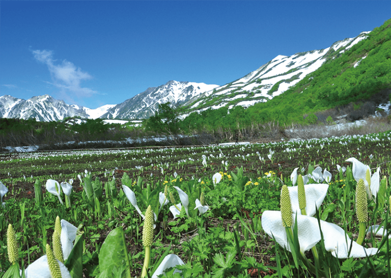 Trekking | Hakuba Valley