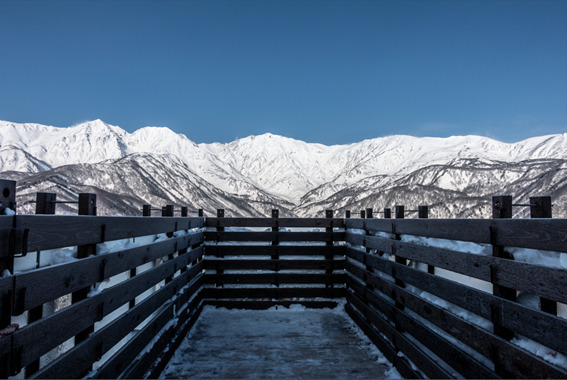 Hakuba Iwatake Snow Field Information of business from 15th Dec ...